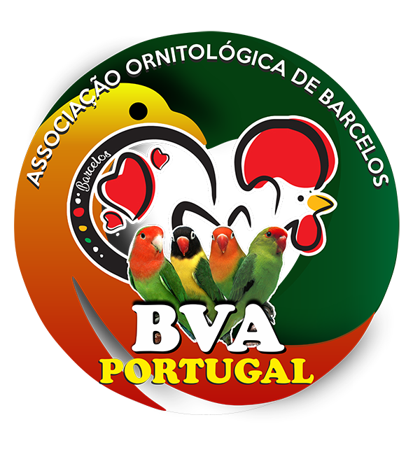 Bva Portugal